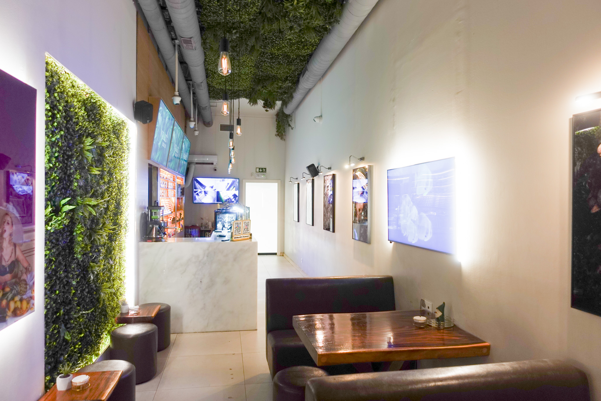 Why Wizard Social Club is a Must-Visit Cannabis Club in Barcelona ...